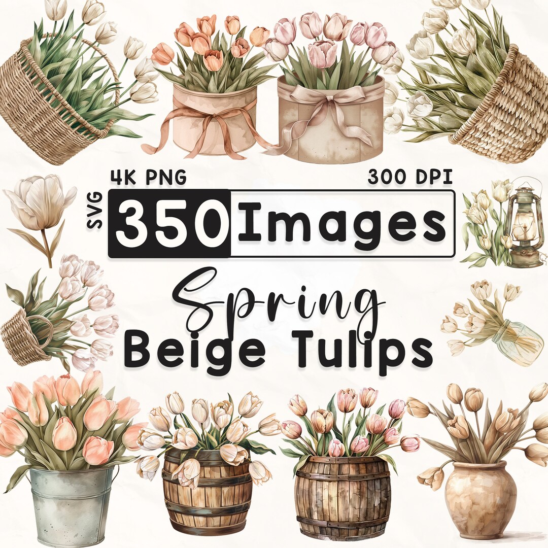 350 Beige Tulips Clipart Bundle, Watercolor Floral Clipart, Tulip ...