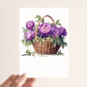 377 Purple Peonies Clipart Bundle, Watercolor Floral Clipart, Peony ...