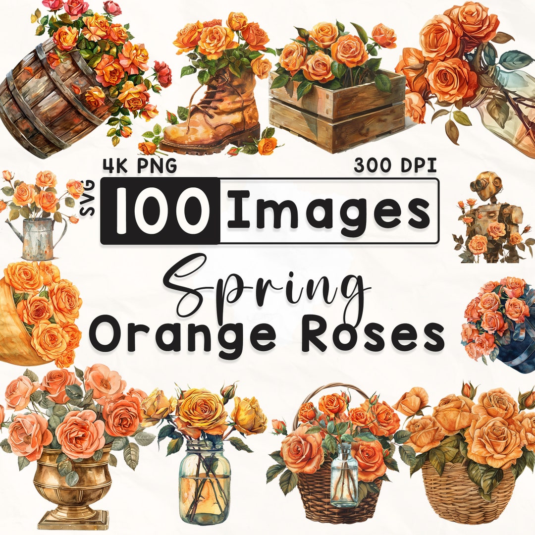 100 Orange Roses Clipart Bundle, Watercolor Floral Clipart, Rose ...