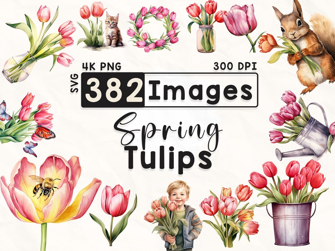 382 Tulips Clipart Bundle, Watercolor Floral Clipart, Tulip Clipart ...