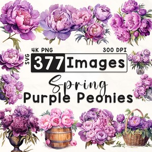 377 Purple Peonies Clipart Bundle, Watercolor Floral Clipart, Peony ...
