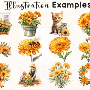 356 Calendulas Clipart Bundle, Watercolor Floral Clipart, Calendula ...