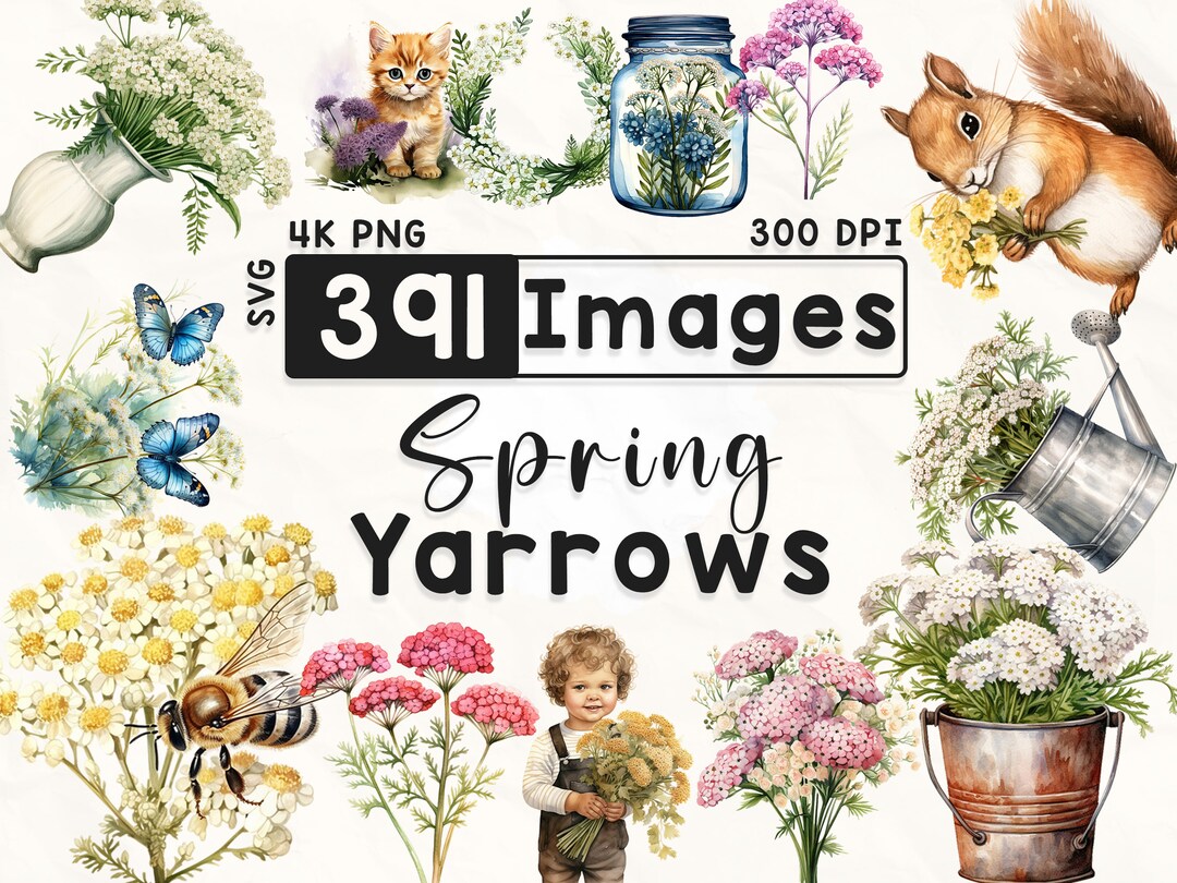 391 Yarrows Clipart Bundle, Watercolor Floral Clipart, Yarrow Clipart ...