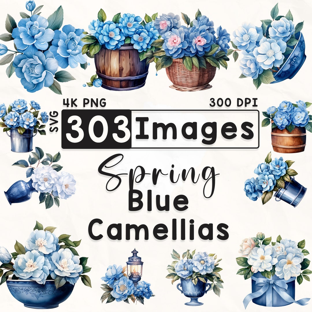 303 Blue Camellias Clipart Bundle, Watercolor Floral Clipart, Camellia ...