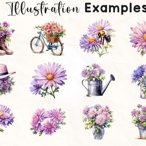 355 Asters Clipart Bundle, Watercolor Floral Clipart, Aster Clipart ...