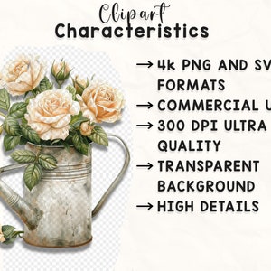 364 Beige Roses Clipart Bundle, Watercolor Floral Clipart, Rose Clipart ...