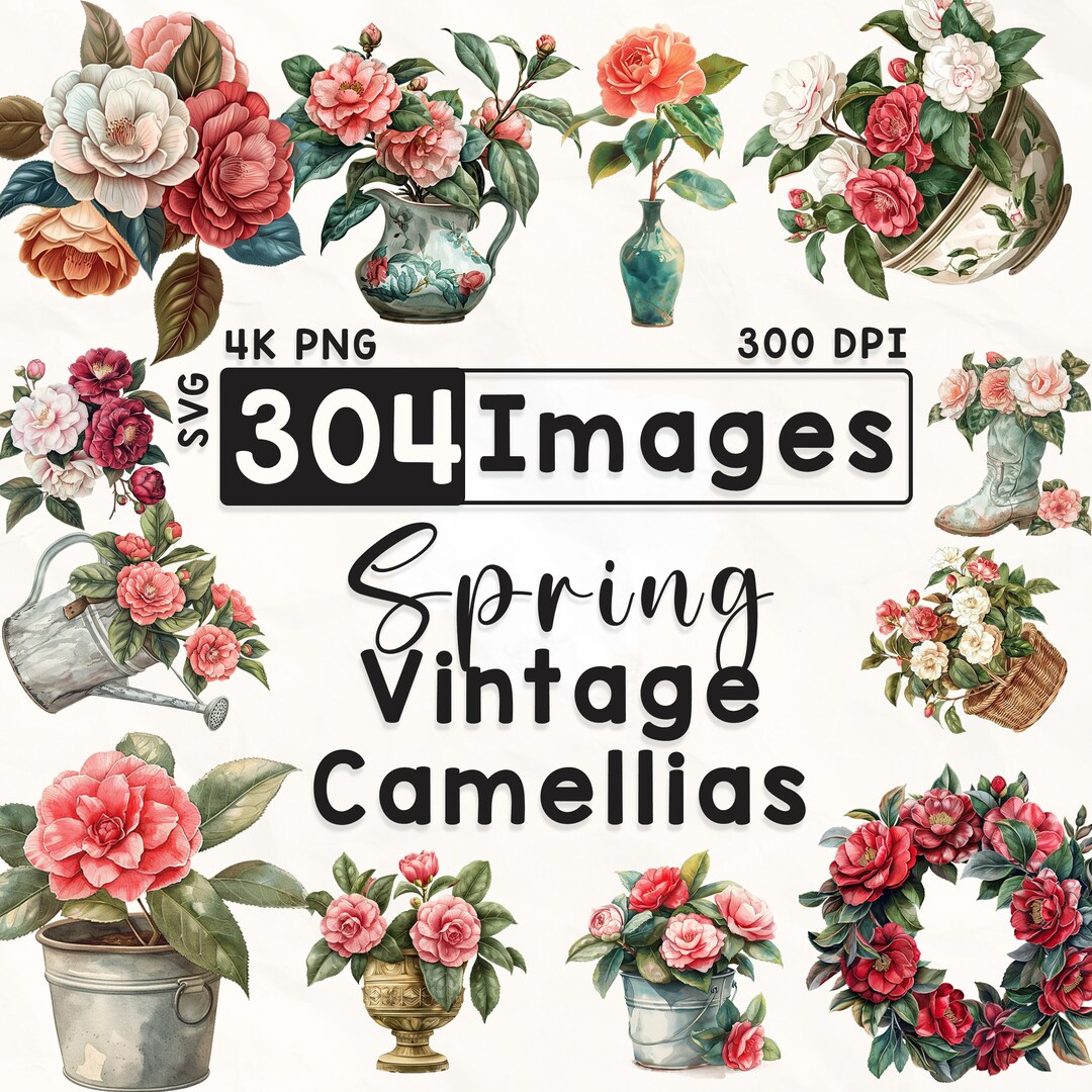 304 Vintage Camellias Clipart Bundle, Watercolor Floral Clipart ...