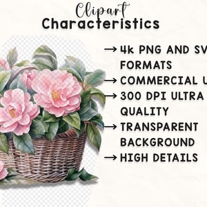 284 Pastel Camellias Clipart Bundle, Watercolor Floral Clipart ...