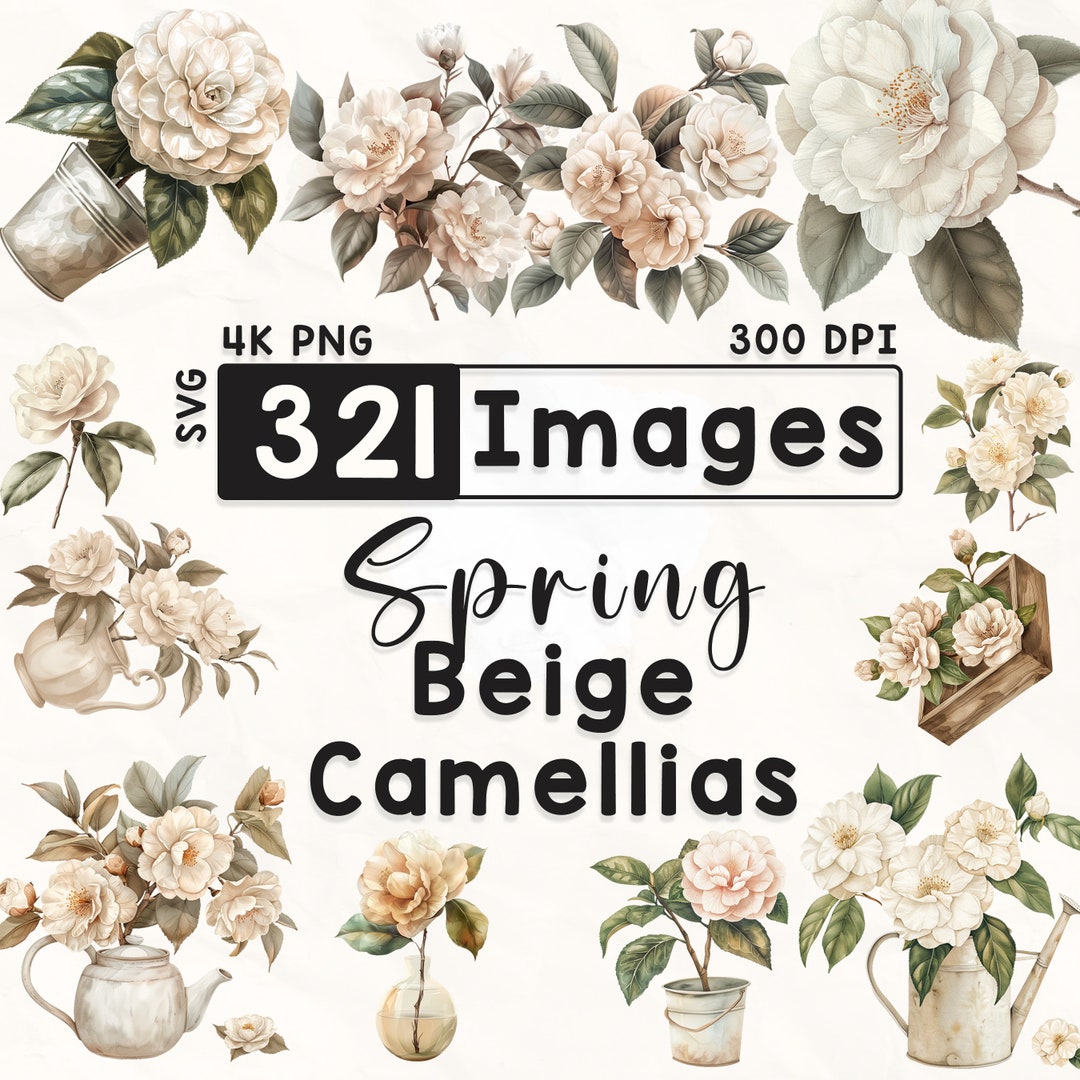 321 Beige Camellias Clipart Bundle, Watercolor Floral Clipart, Camellia ...