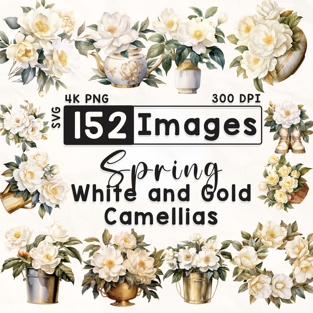 152 White and Gold Camellias Clipart Bundle, Watercolor Floral Clipart ...