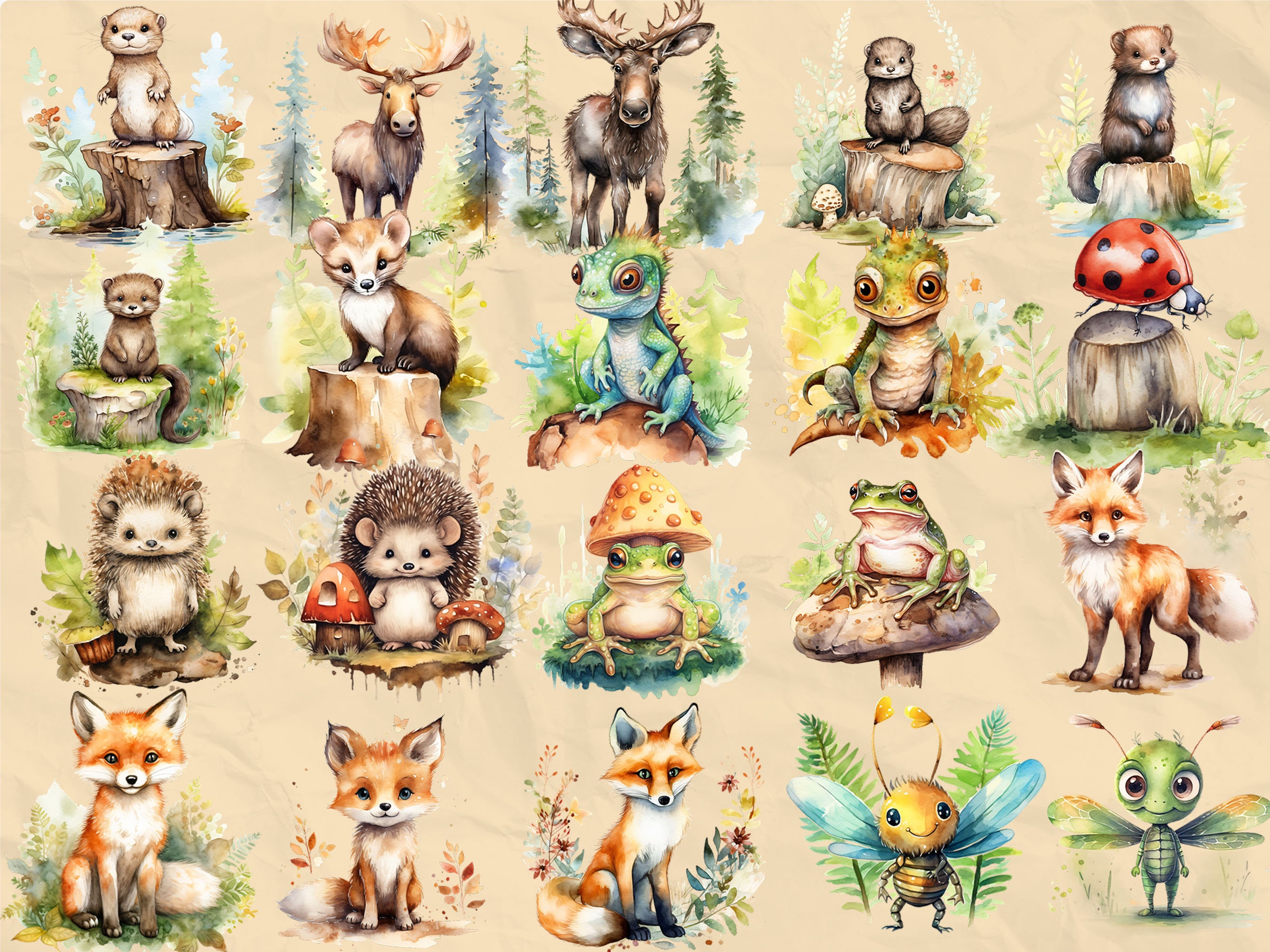 77 Cute Forest Animals Clipart Cute Animals Clipart - Etsy Australia