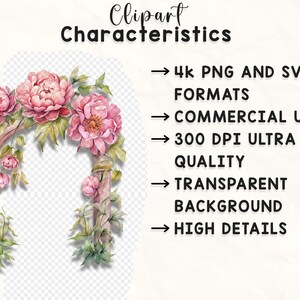 381 Peonies Clipart Bundle, Watercolor Floral Clipart, Peony Clipart ...