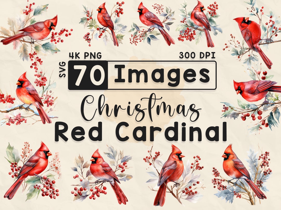Christmas Red Cardinal Clipart, Watercolor Clipart, Christmas PNG, Red ...
