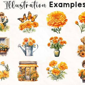 349 Marigolds Clipart Bundle, Watercolor Floral Clipart, Marigold ...