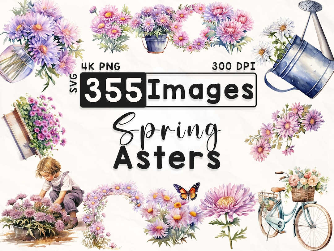 355 Asters Clipart Bundle, Watercolor Floral Clipart, Aster Clipart ...