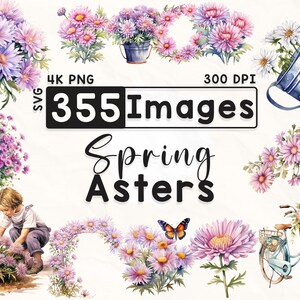 355 Asters Clipart Bundle, Watercolor Floral Clipart, Aster Clipart ...
