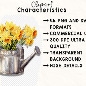 383 Daffodils Clipart Bundle, Watercolor Floral Clipart, Daffodil ...
