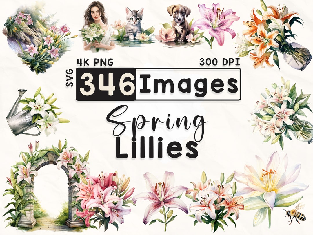 346 Lilies Clipart Bundle, Watercolor Floral Clipart, Lily Clipart ...
