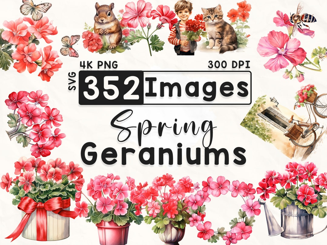 352 Geraniums Clipart Bundle, Watercolor Floral Clipart, Geranium ...