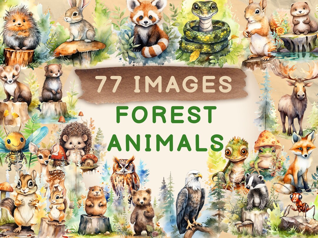 77 Cute Forest Animals Clipart, Cute Animals Clipart, Commercial Use ...