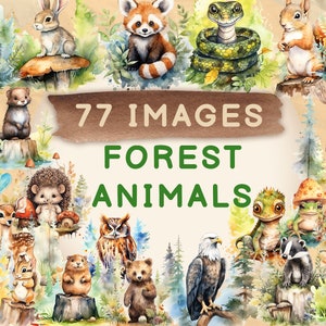 77 Cute Forest Animals Clipart, Cute Animals Clipart, Commercial Use ...
