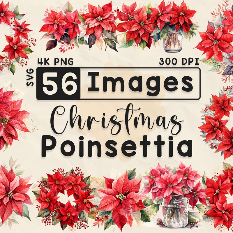 Christmas Poinsettia - Etsy