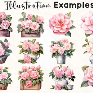284 Pastel Camellias Clipart Bundle, Watercolor Floral Clipart ...