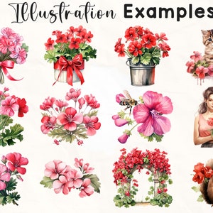 352 Geraniums Clipart Bundle, Watercolor Floral Clipart, Geranium ...