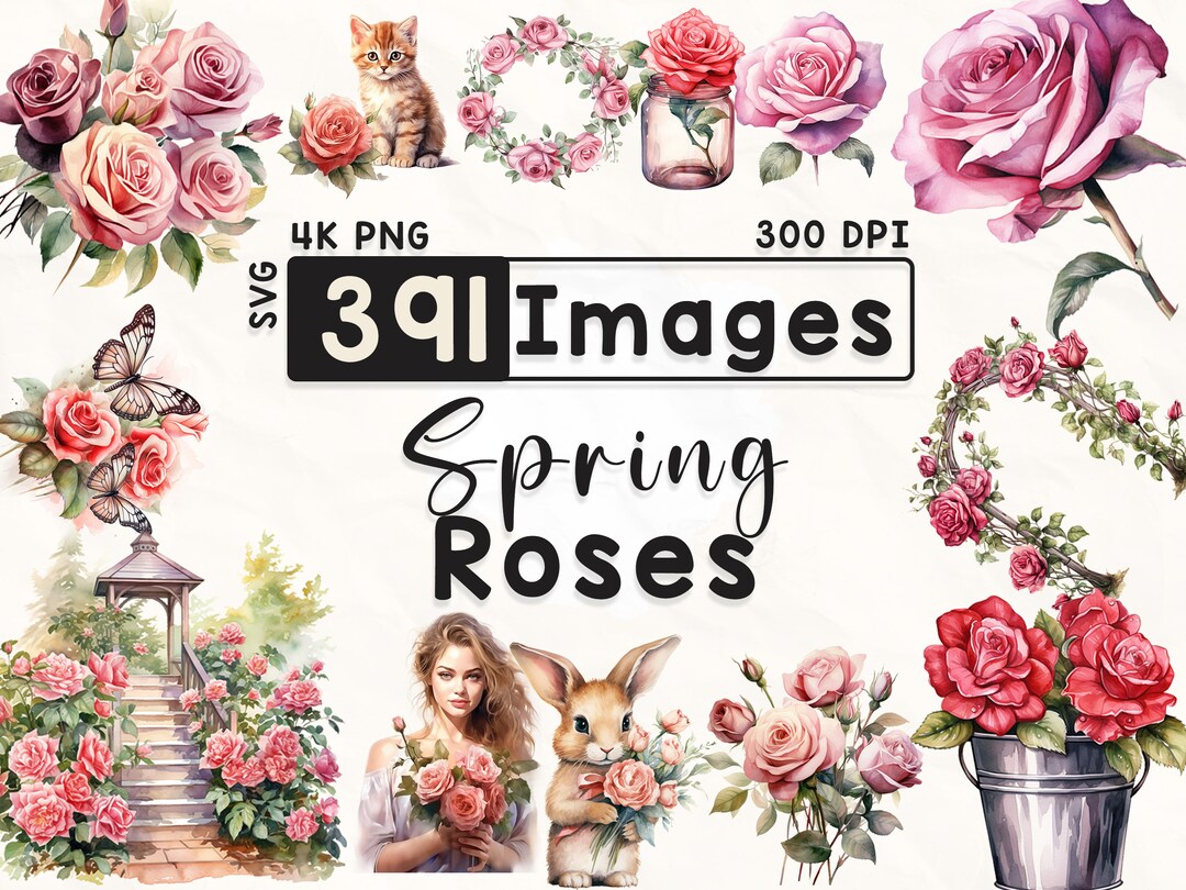 391 Roses Clipart Bundle, Watercolor Floral Clipart, Rose Clipart ...