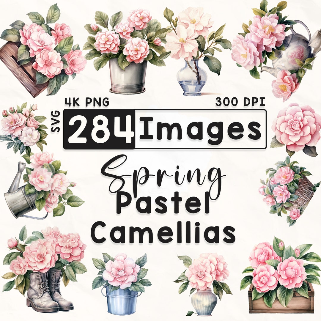 284 Pastel Camellias Clipart Bundle, Watercolor Floral Clipart ...