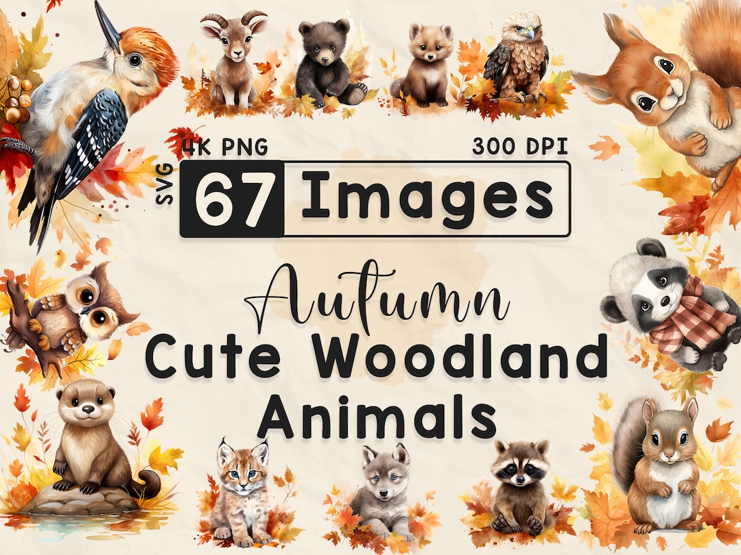 67 Autumn Cute Woodland Animals Clipart, Watercolor Clipart, Fall ...