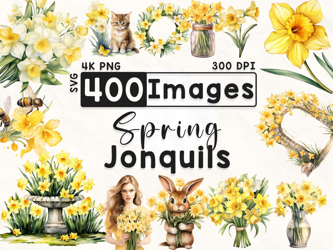 400 Jonquils Clipart Bundle, Watercolor Floral Clipart, Jonquil Clipart ...