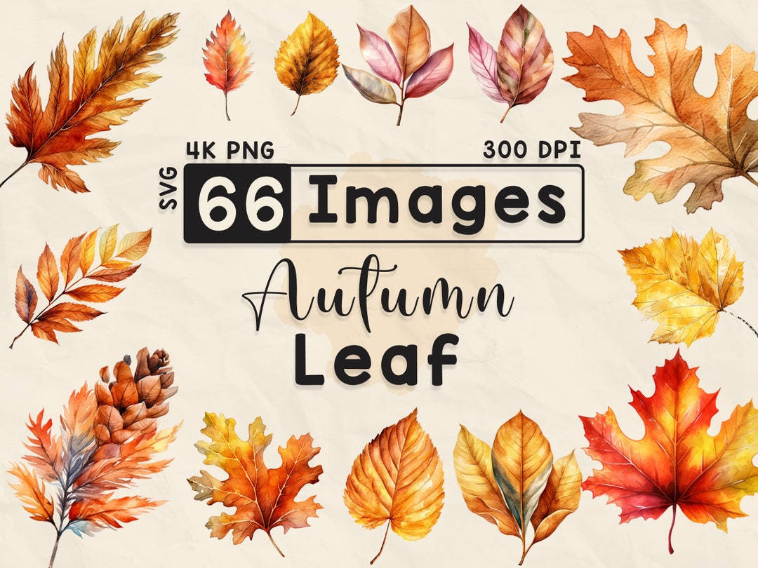 66 Autumn Leaf Clipart, Watercolor Clipart, Fall Season, Scrapbook ...