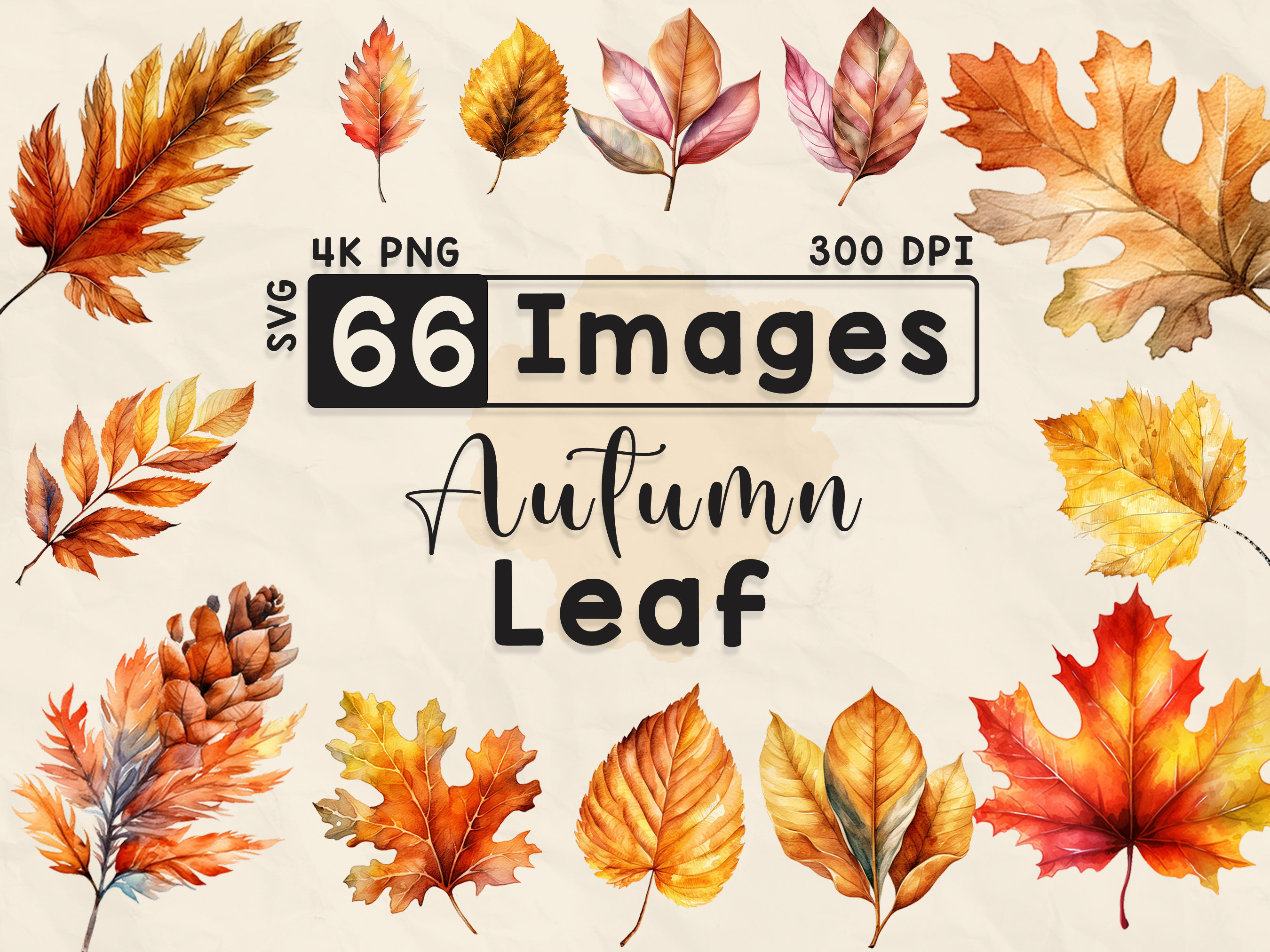 Fall Leaves Borders Clip Art Free