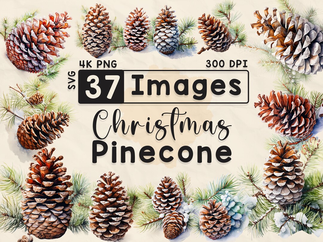 Christmas Pinecone Clipart, Watercolor Clipart, Festive Season ...