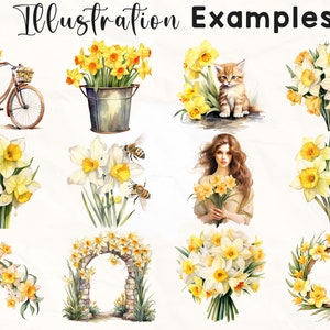 383 Narcissus Clipart Bundle, Watercolor Floral Clipart, Narcissus ...