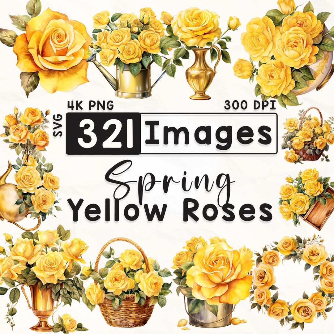 321 Yellow Roses Clipart Bundle, Watercolor Floral Clipart, Rose ...