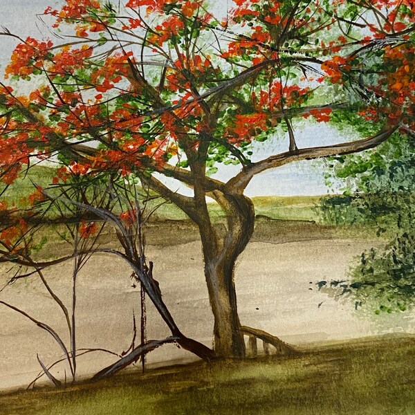 Flamboyant Tree Art - Etsy