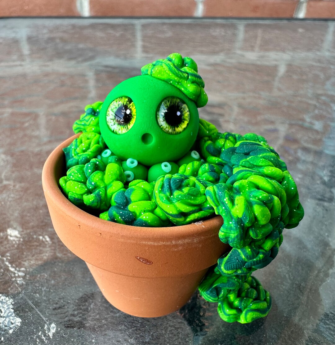 Baby Octopot With Polymer Clay Succulents or Flowers in a Terracotta ...