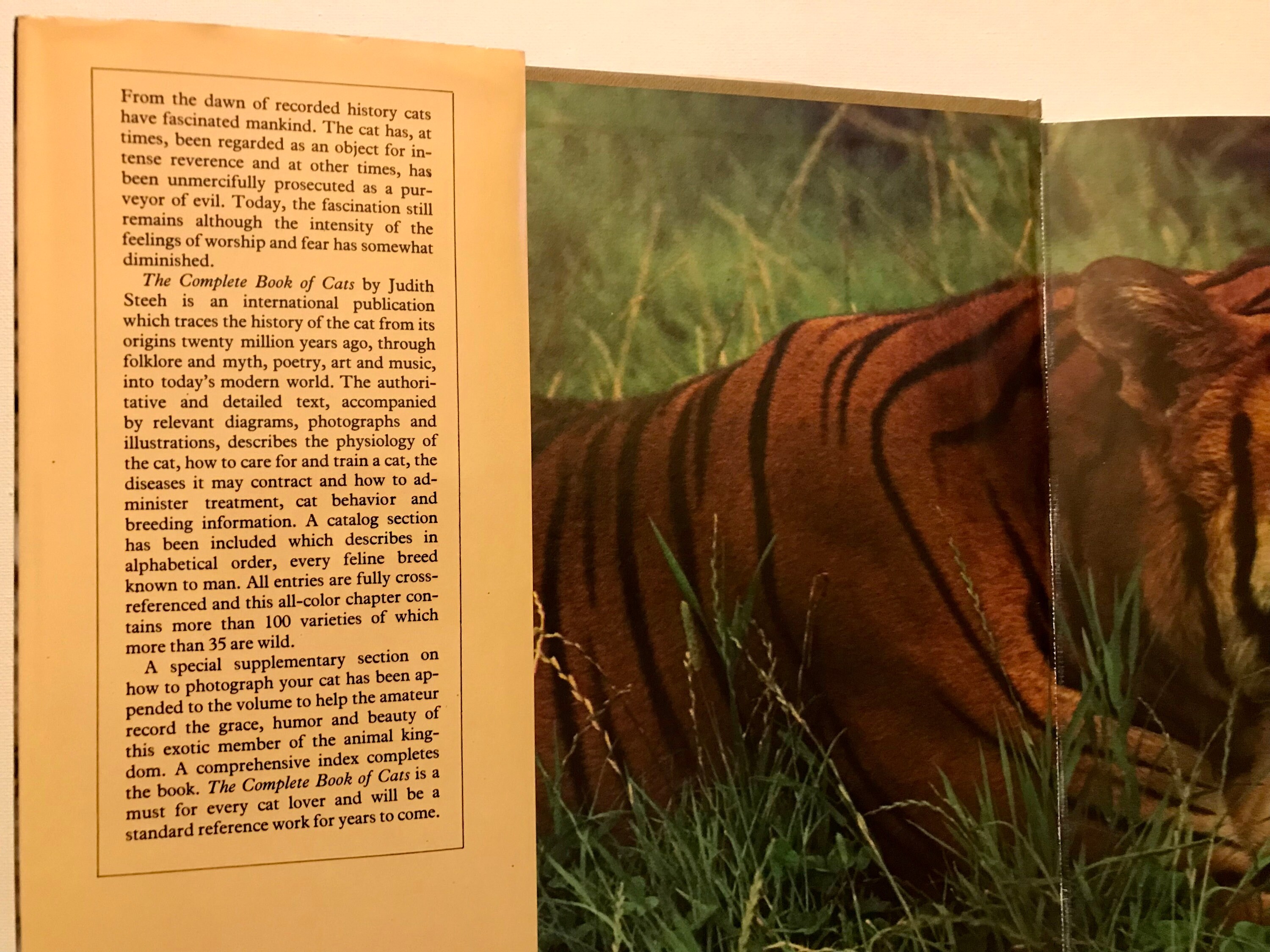 The Complete Book of Cats Judith A Steeh Hardcover 1982 - Etsy