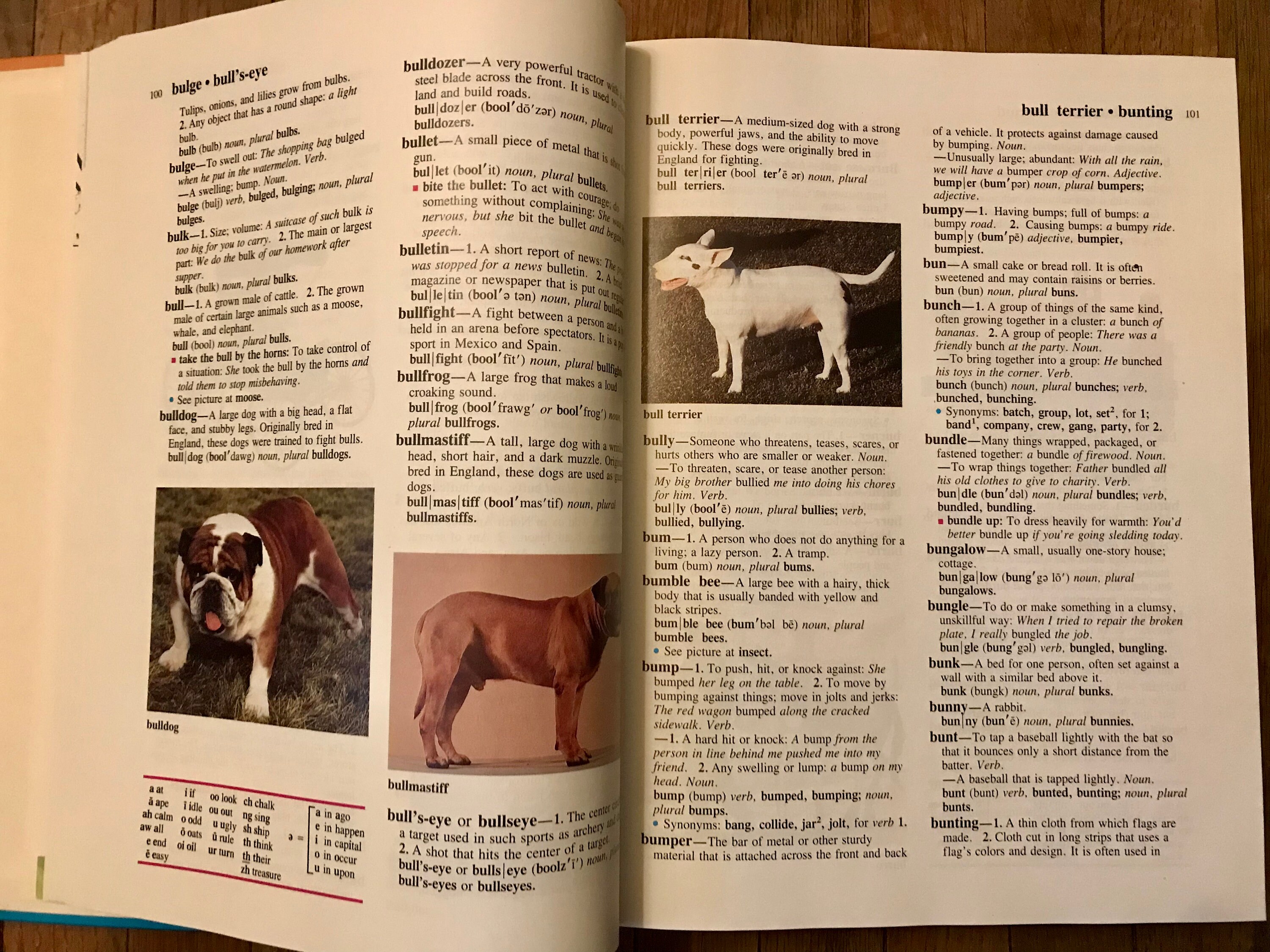 Vintage Childcraft Dictionary, 1993 Hardcover - Etsy