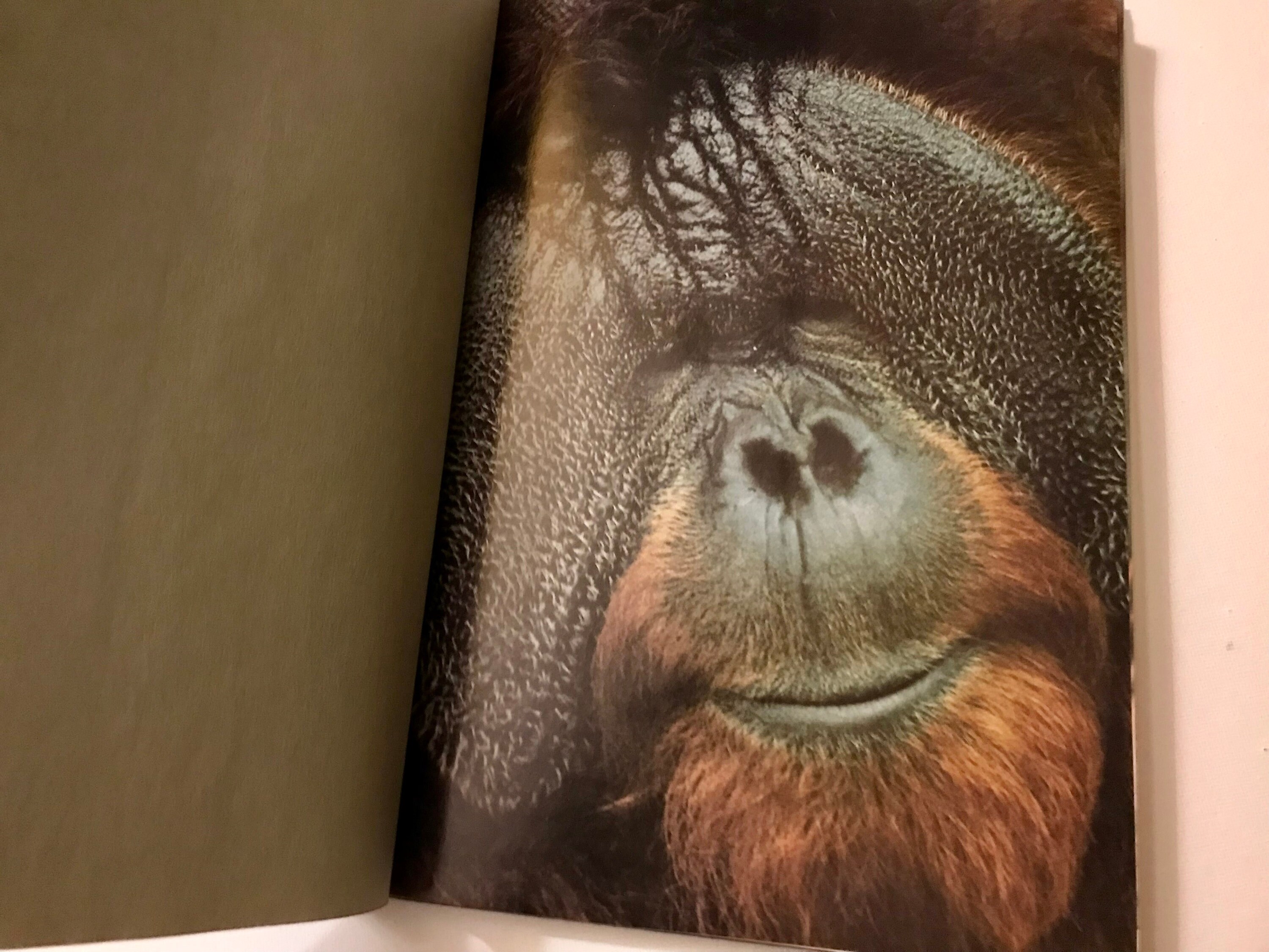 A Zoo for All Seasons, the Smithsonian Animal World, Hardcover 1979 - Etsy