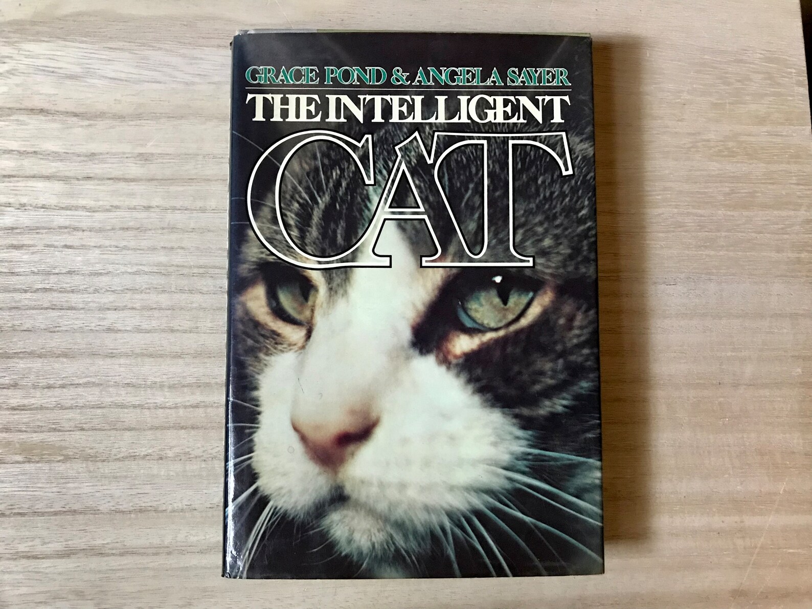 The Intelligent Cat, by Grace Pond & Angela Sayer, First USA Printing ...