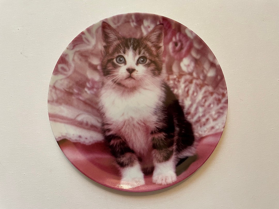 Vintage Pink Cat ‘perfectly Posed’ Decorative Plate From the Crestley ...
