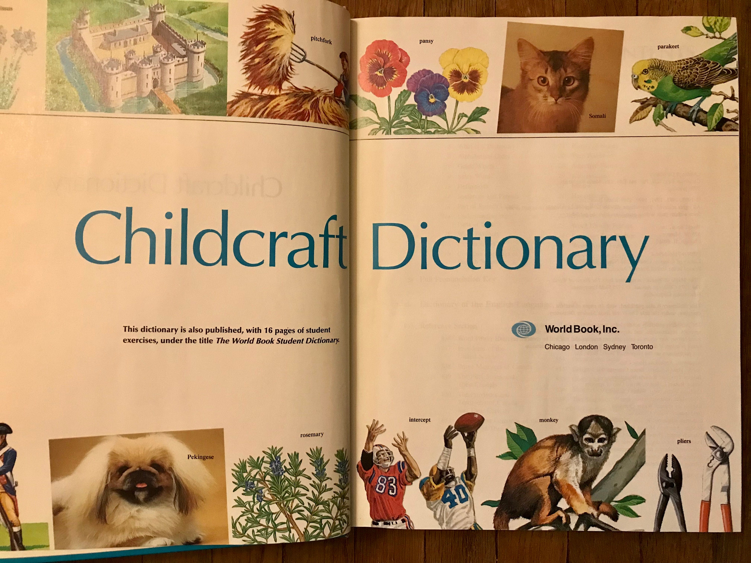Vintage Childcraft Dictionary, 1993 Hardcover - Etsy