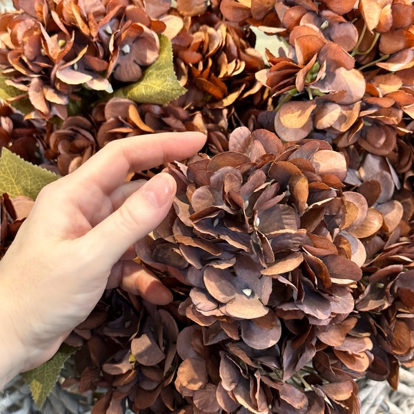 Brown Hydrangea - Etsy
