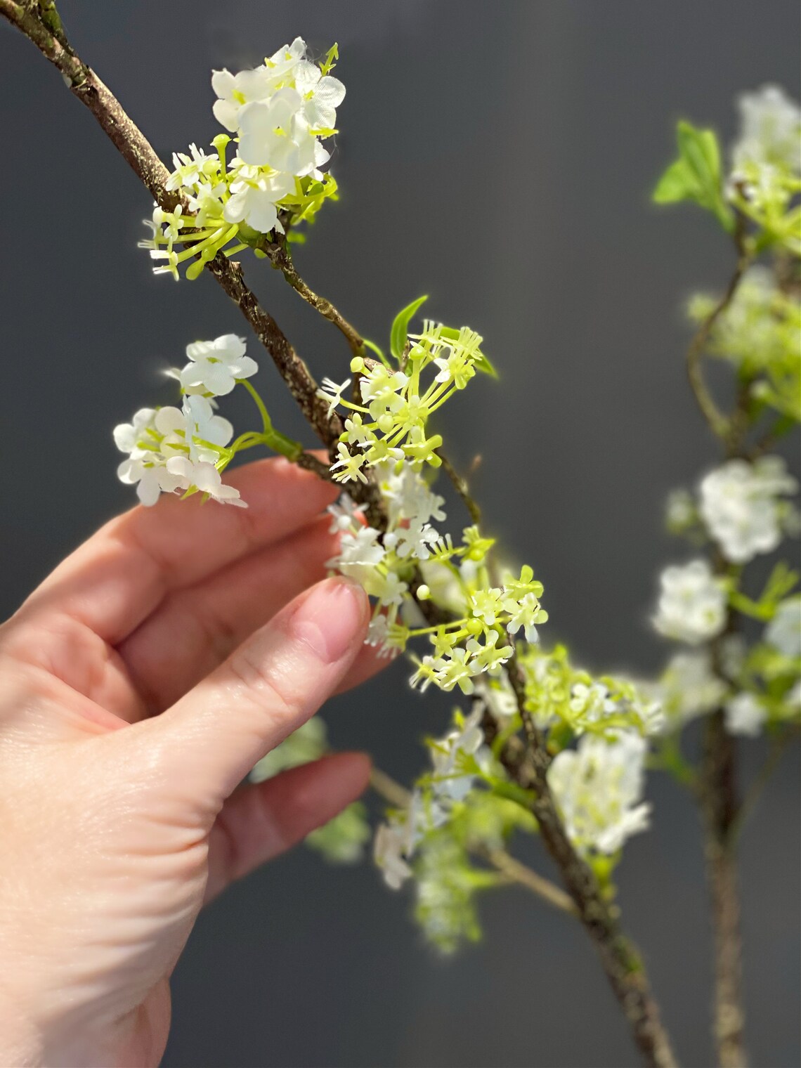 Wild Apple Blossom Tree Branches, Long Twigs, White Faux Flower Sprays ...