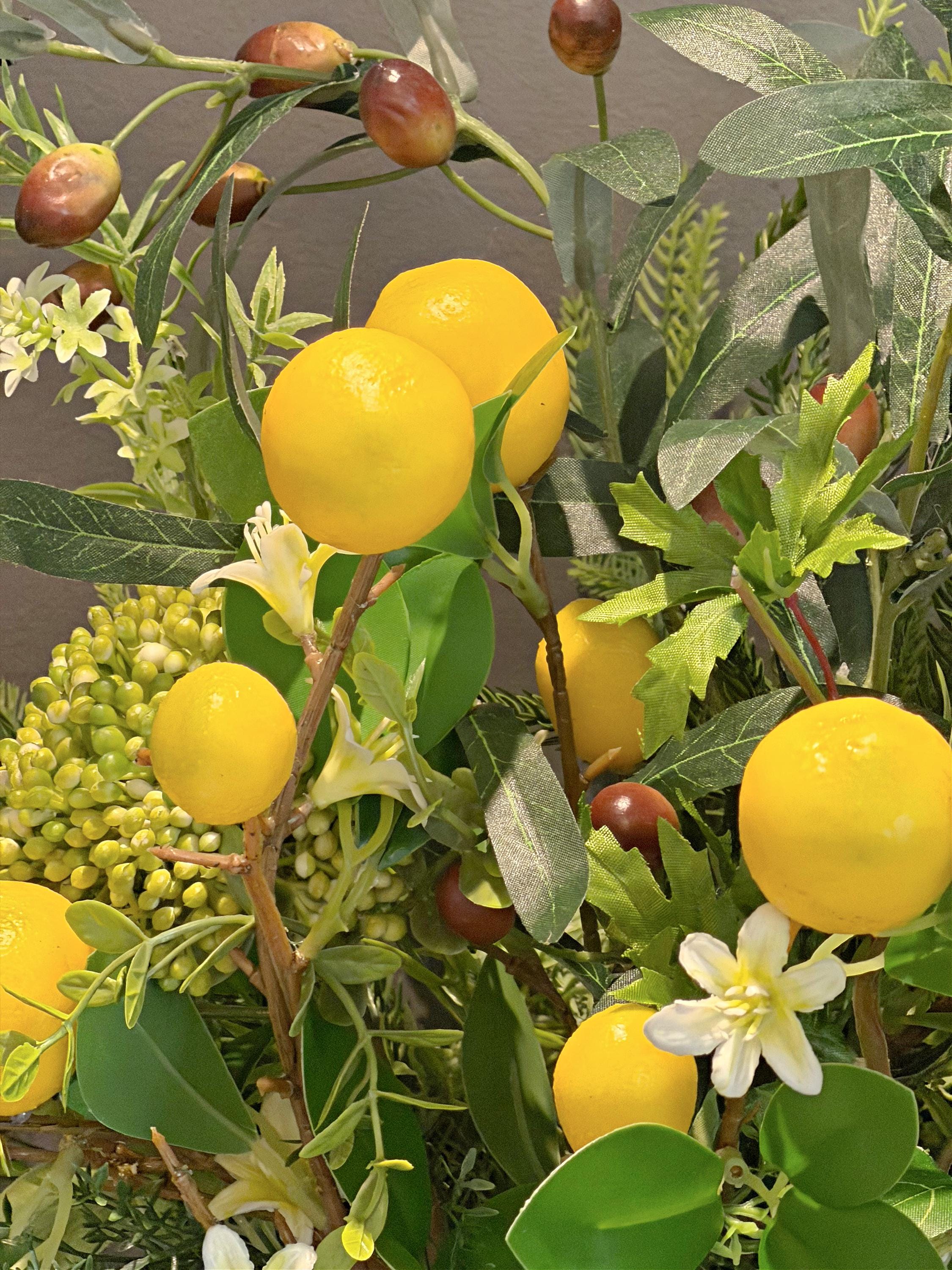 Yellow Lemon Fruits, Green Berry Clusters, Pine, Olive Branch, Antique ...