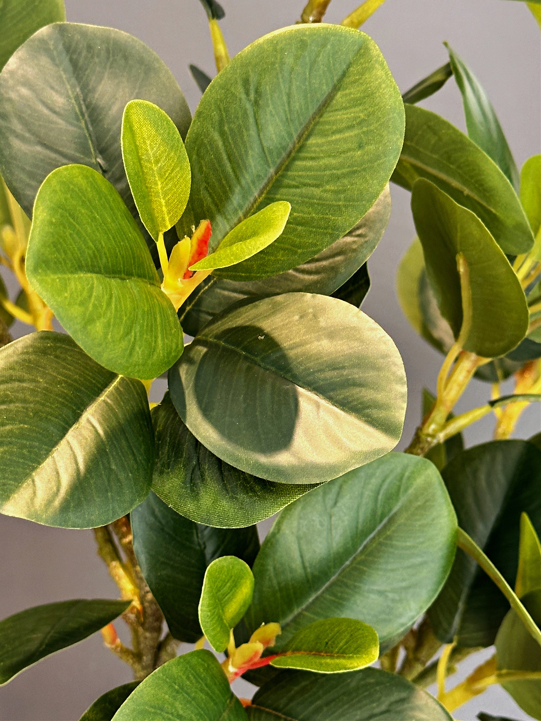 Ficus Branches, Artificial Greenery, DIY Flower Arrangement Foliage ...