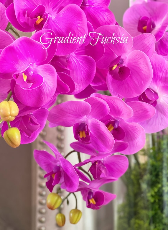 Pretty Pink Orchids 68 Types Of Pink Flowers (With Pictures And Plant